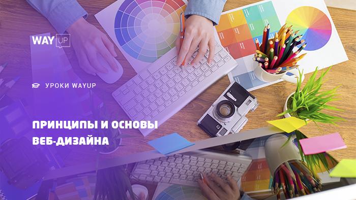 Principles and fundamentals of web design / WAYUP
